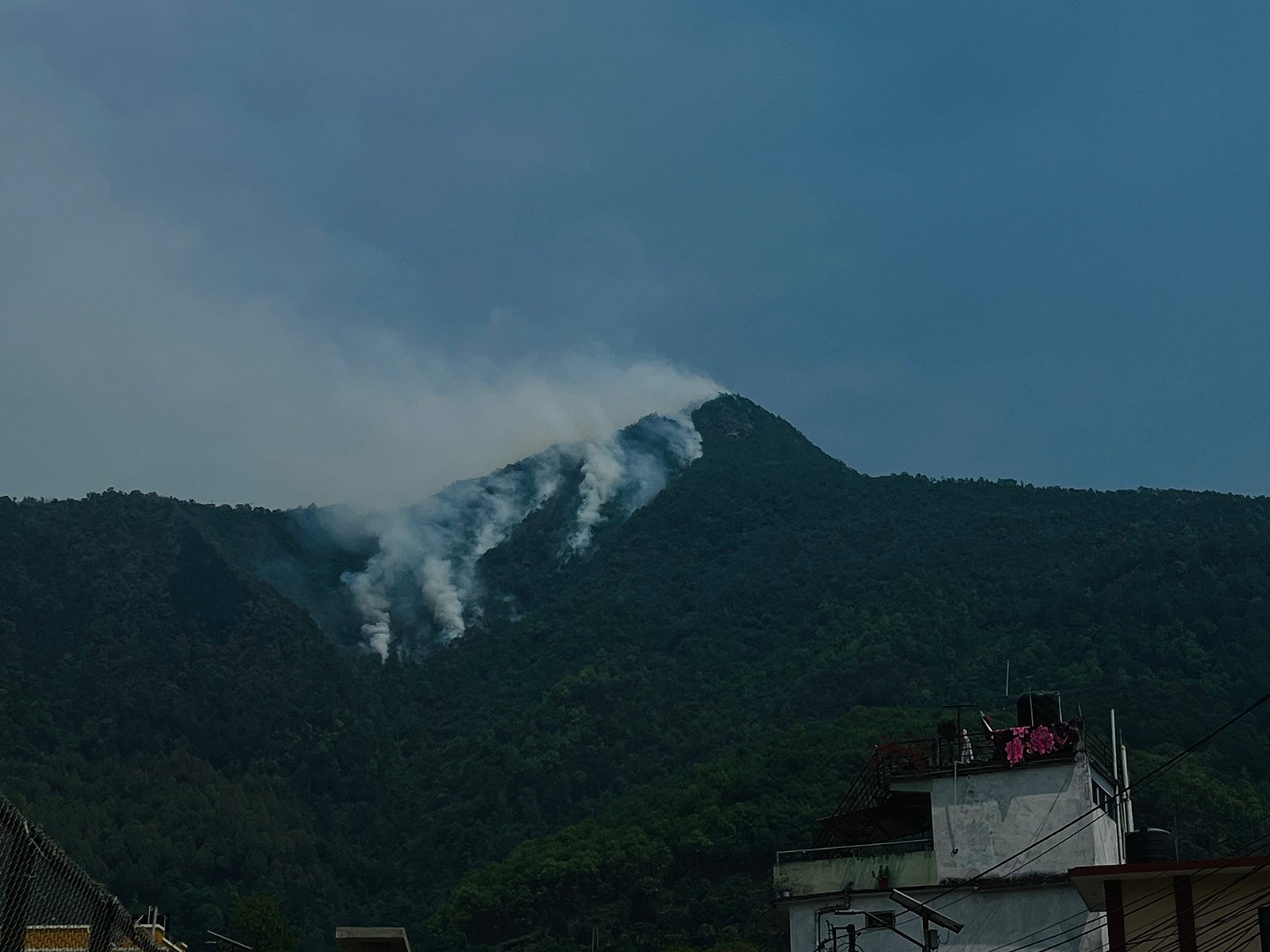 Nine districts at high risk of forest fire - Nepal Samaj