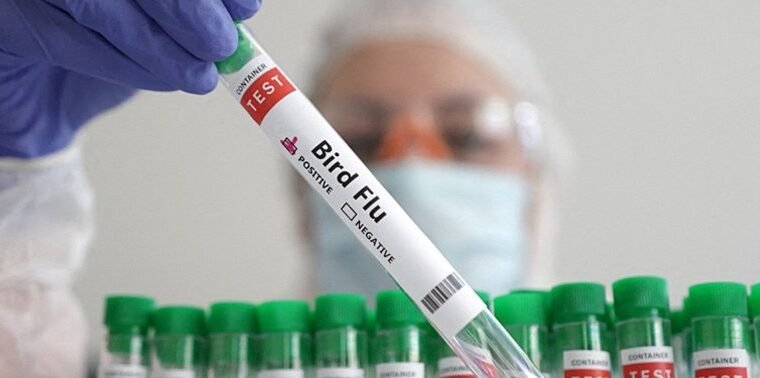 First human case of H5N2 died from multiple factors: WHO - Nepal Samaj