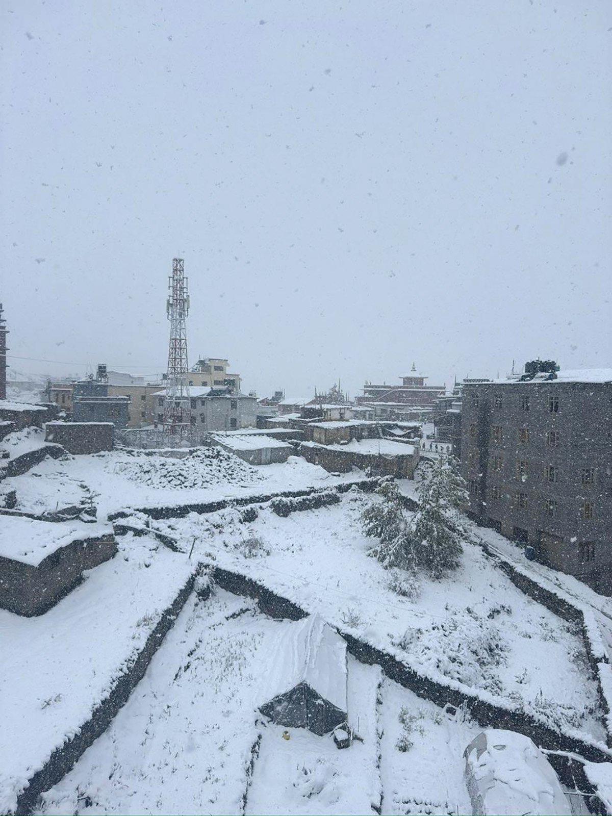 Tourist dies of altitude sickness in Mustang - Nepal Samaj