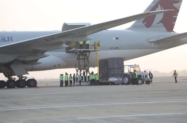 Tuskers Khagendra Prasad and Rudrakali flown to Qatar - Nepal Samaj