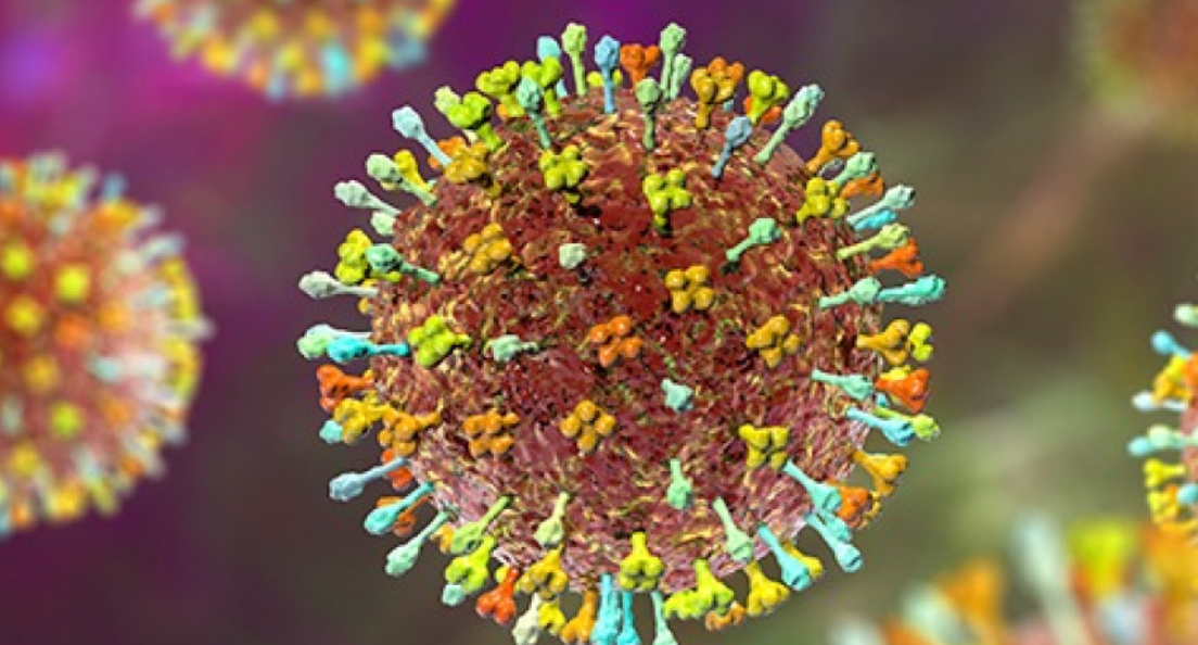 India says two Nipah virus cases, but situation contained - Nepal Samaj